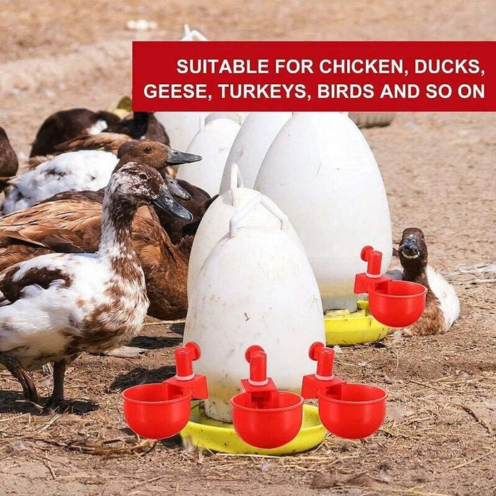 Automatic Chicken Water Cup Bird Coop – Hambort.com