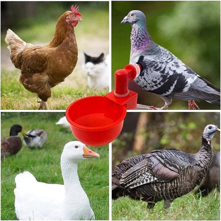 Automatic Chicken Water Cup Bird Coop – Hambort.com