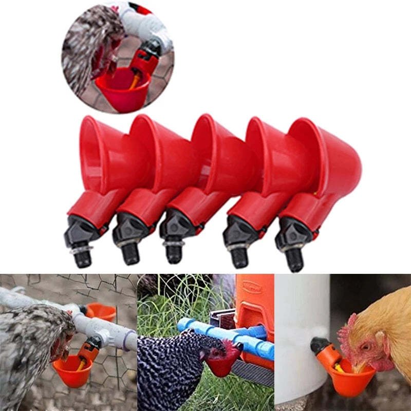 Automatic Chicken Water Cup Bird Coop – Hambort.com